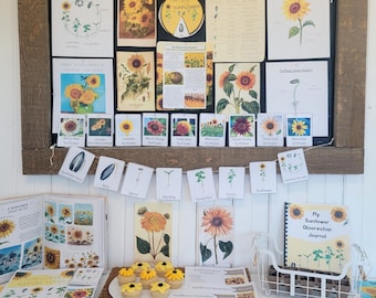 Sunflower Nature Study Printables Educational Learning Unit Pack - Etsy