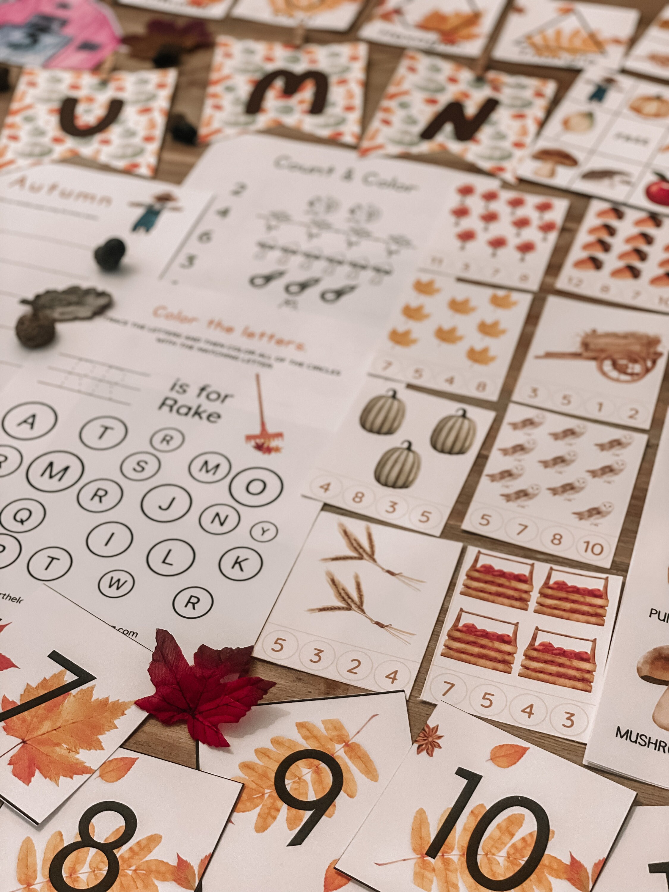 Fall Learning Pack - Etsy