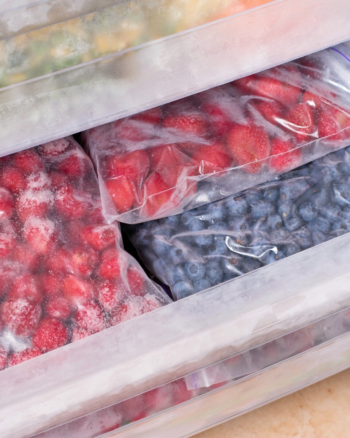 Food Preservation Canning, Freezing & Dehydrating for Beginners - Etsy