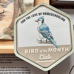 Blue Jay Unit Study - Etsy