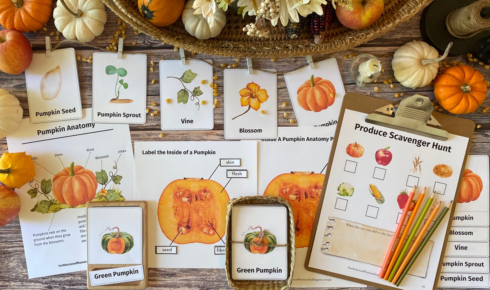 Harvest Nature Study - Etsy