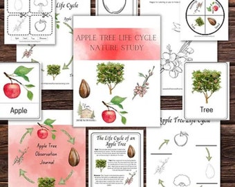 APPLE Unit Study, Life Cycle, Anatomy, Nature Study, Science ...