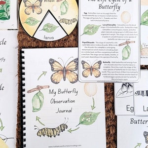 Butterfly Life Cycle Nature Study - Etsy