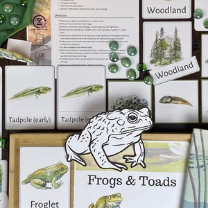 Frogs & Toads A Comparative Nature Study - Etsy