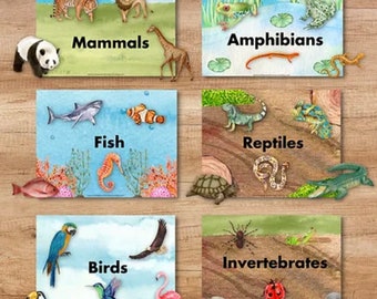 Animal Sort, Animal Classification Sorting Activity, Vertebrates Sort ...