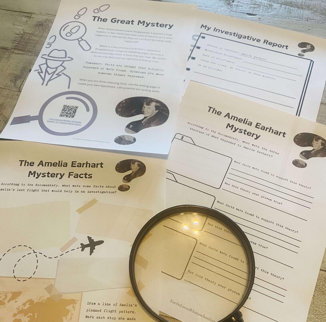 Amelia Earhart Biography Unit - Etsy