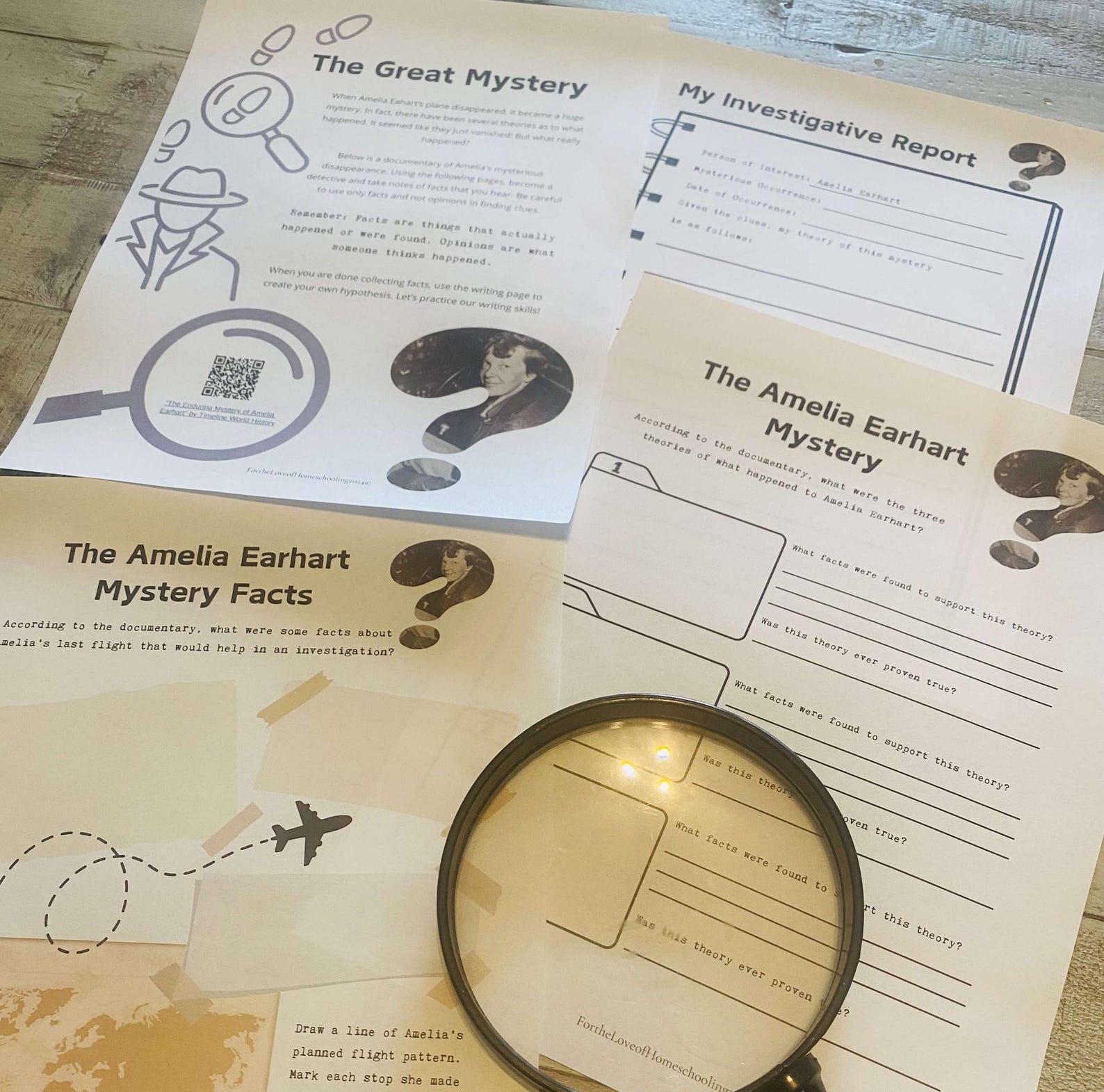 Amelia Earhart Biography Unit - Etsy