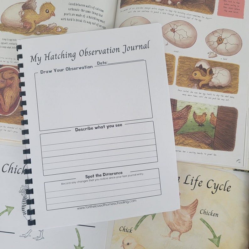 Chicken Hatching Observation Journal - Etsy