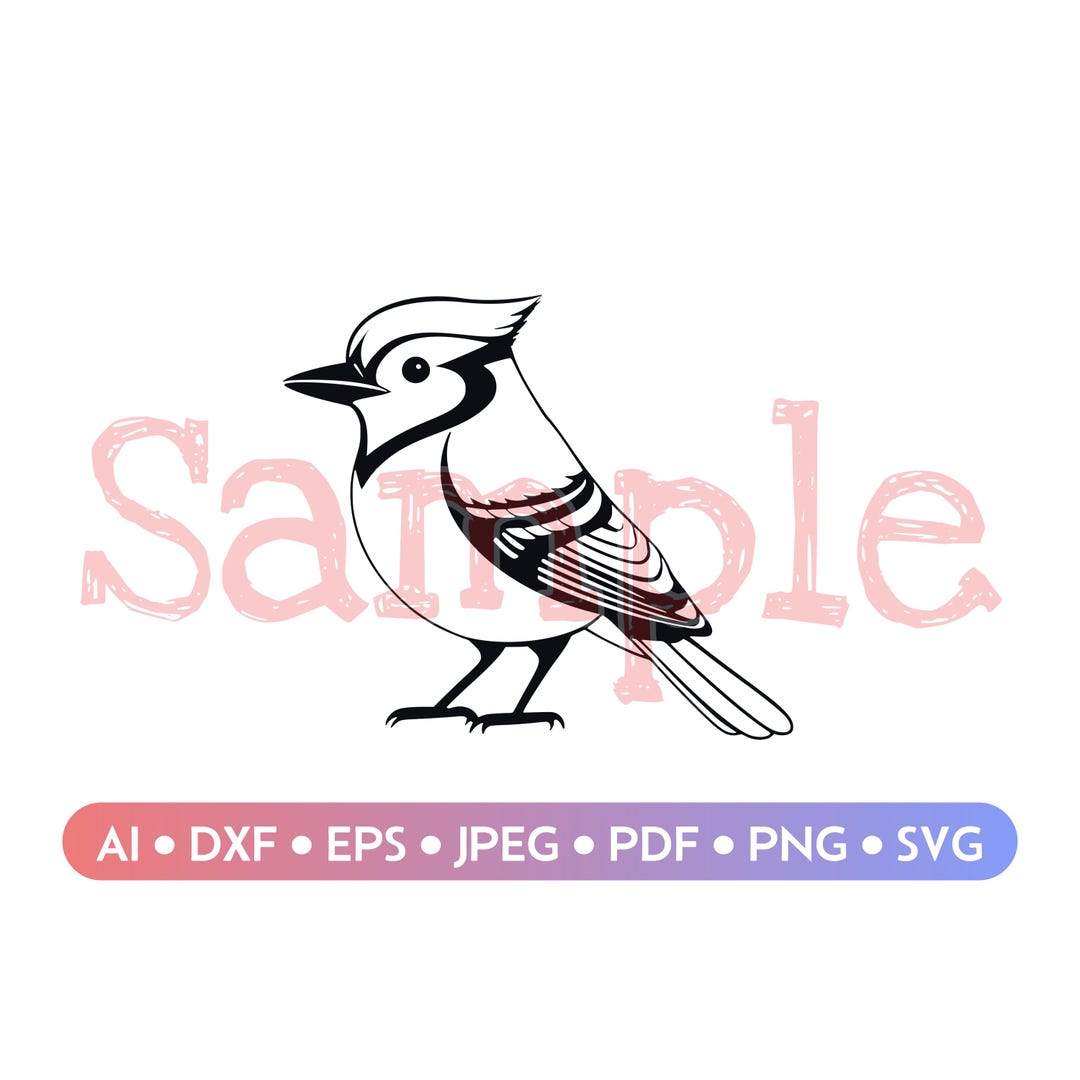 Billie Blue Jay SVG • Cute Woodland Critter Silhouette • Cartoon Animal ...
