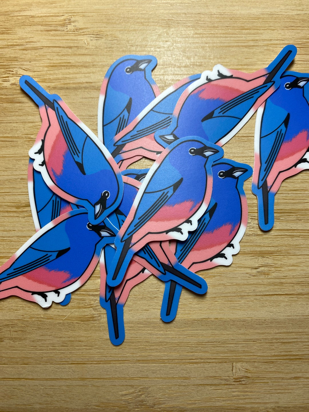 Trans Rose-bellied Bunting - Etsy