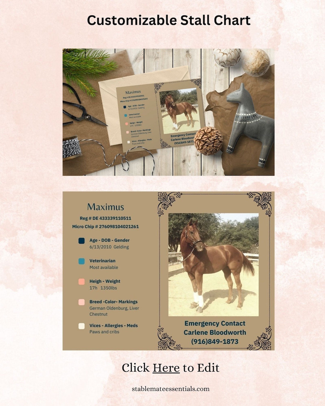 Stall Card Digital Chart Template Easy to Edit Free Canva - Etsy Australia