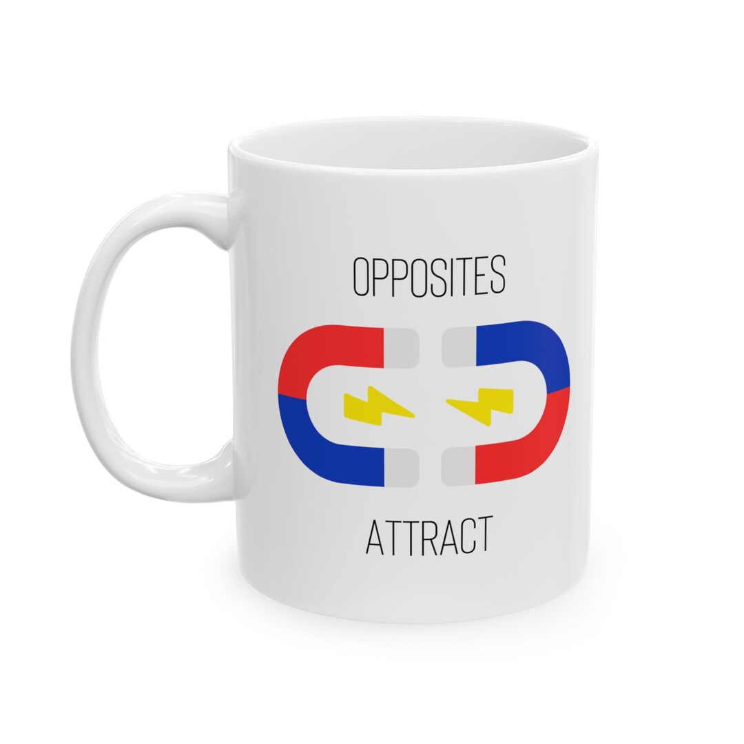 Opposites Attract Science Magnet Mug, Funny Physics Gift, Science Mug ...