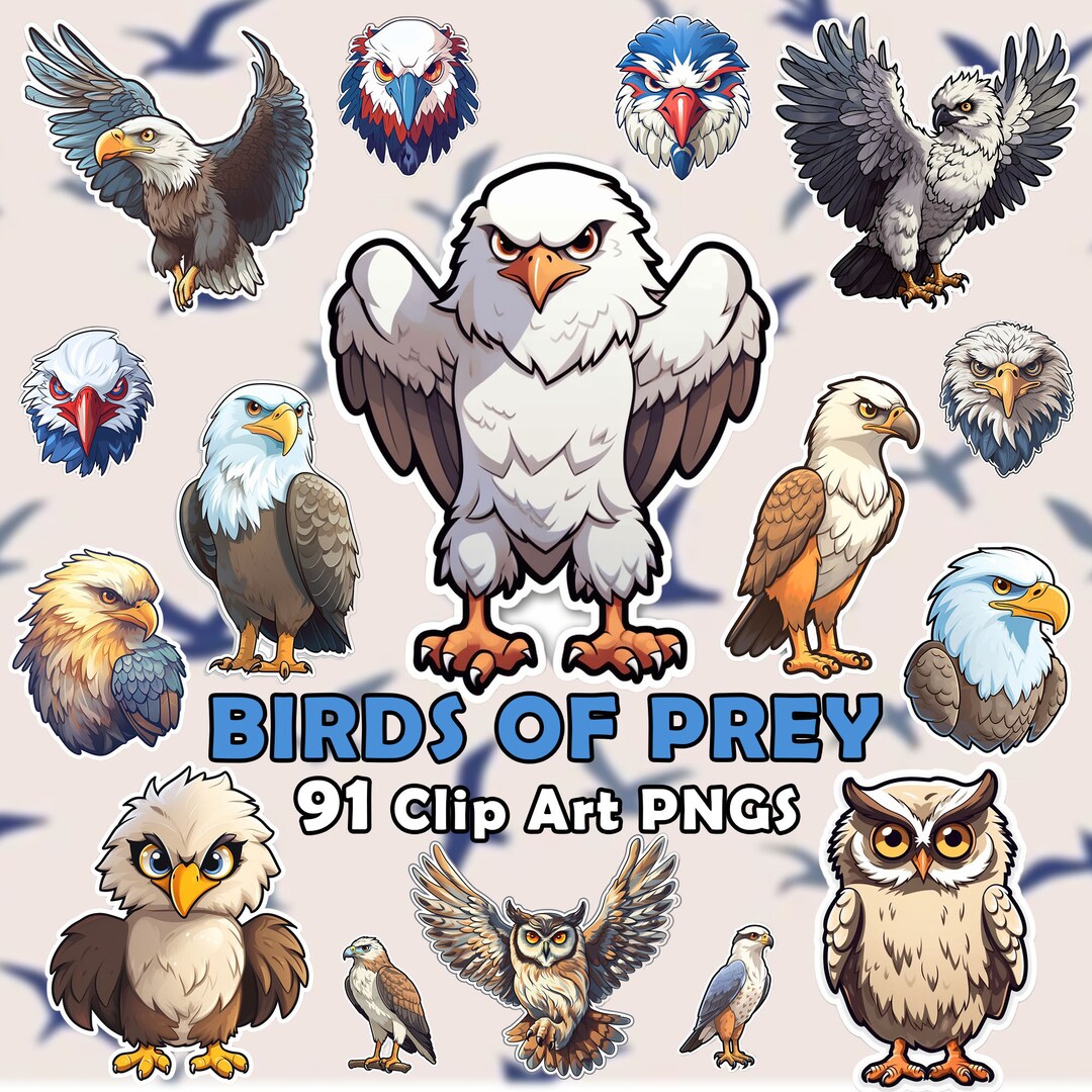Birds of Prey Collection PNG Bundle Including Eagles Hawks Ospreys Owls ...