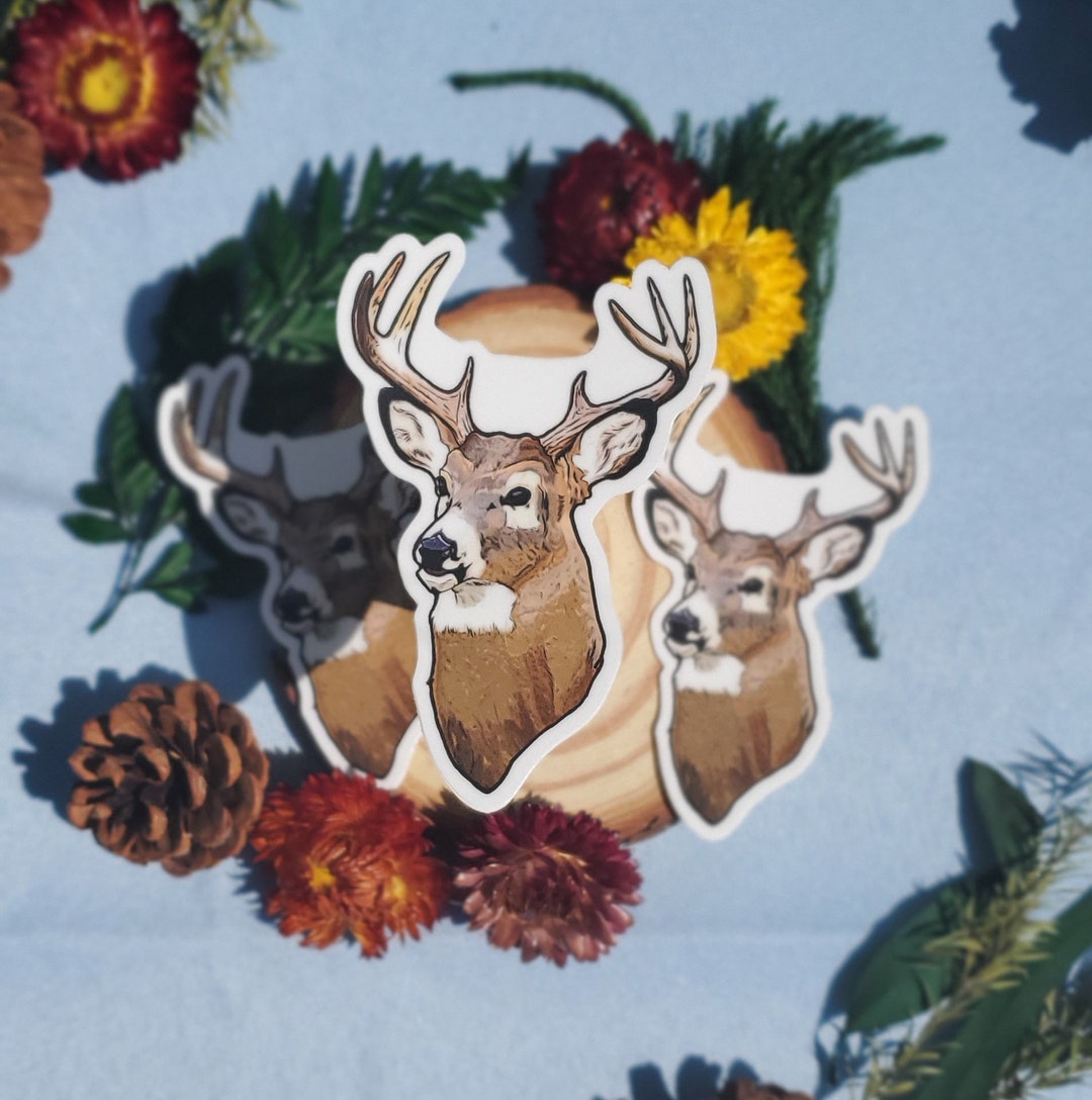 Whitetail Deer (buck) Vinyl Sticker - Etsy
