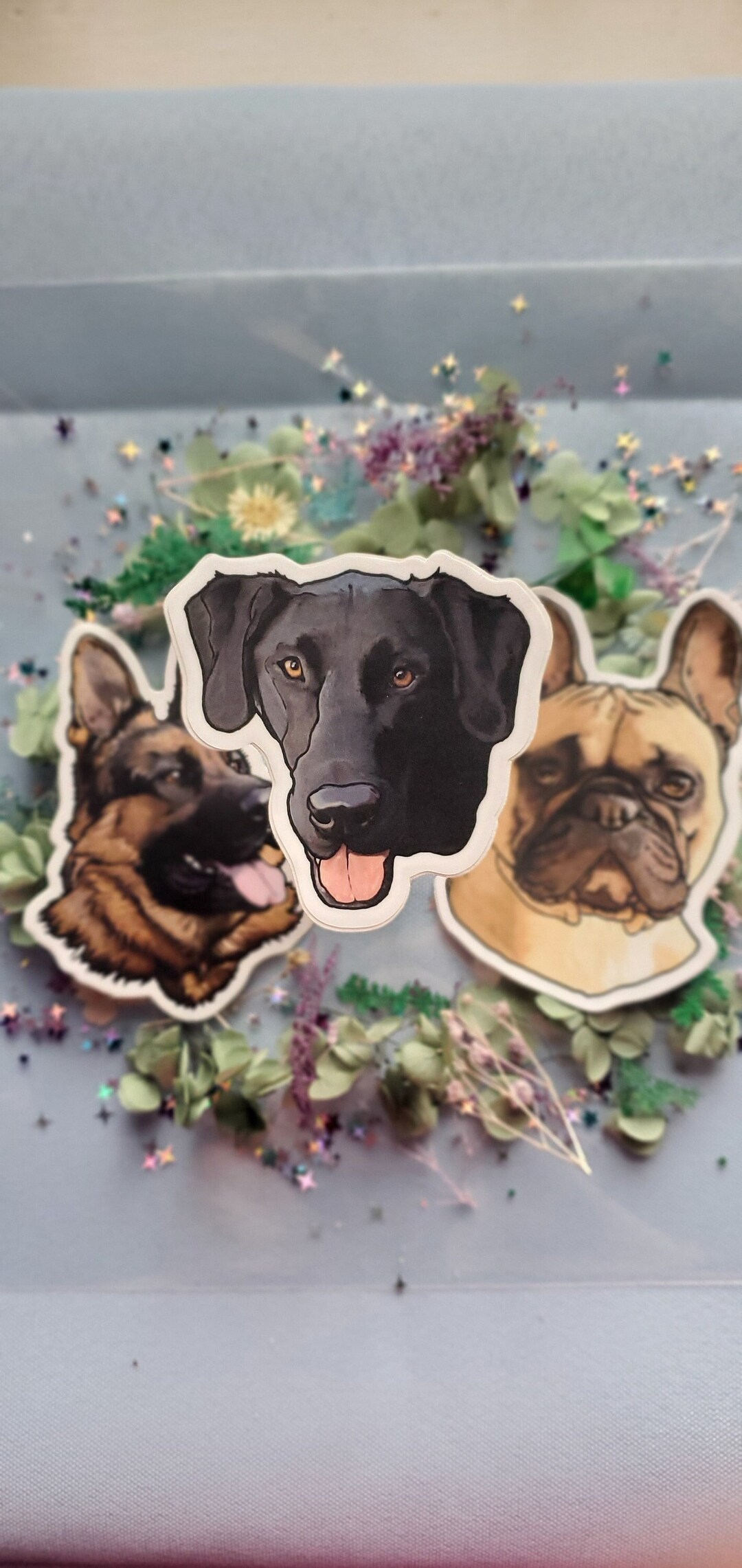Three Popular Dog Breeds Sticker Bundle Labrador Retriever, French ...