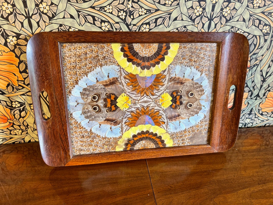 Vintage Boho Real Butterfly Wing Inlaid Wood Tray With Glass Top - Wall ...