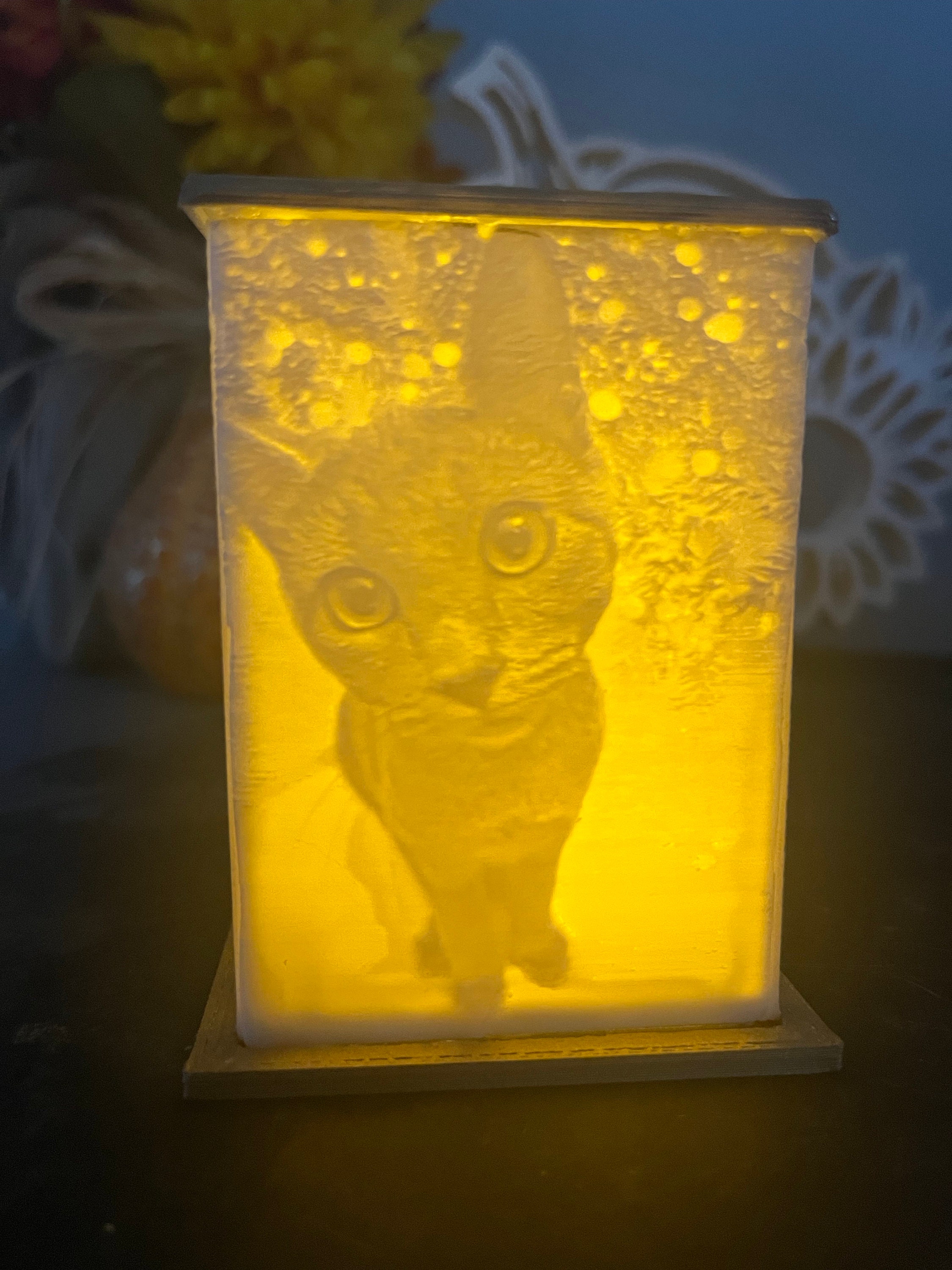 Candle Lantern, Lithophane 3D Print, Custom Leaf Photo Lantern, Autumn ...
