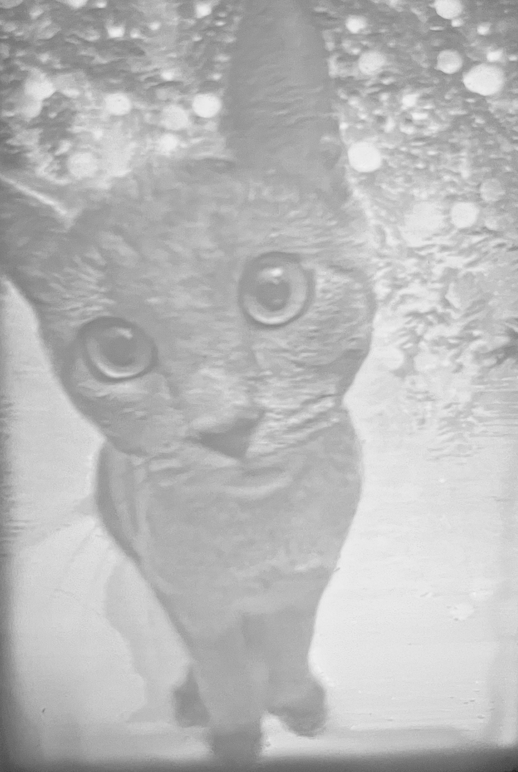 Custom Lithophane 3D Print Shadow Box Personalized Photo - Etsy