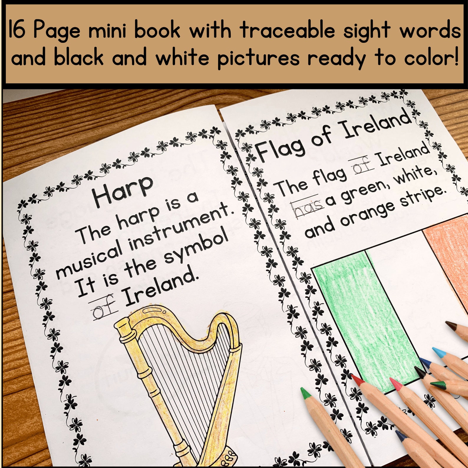 Ireland Country Study Unit for Homeschool for Early Readers With Mini ...