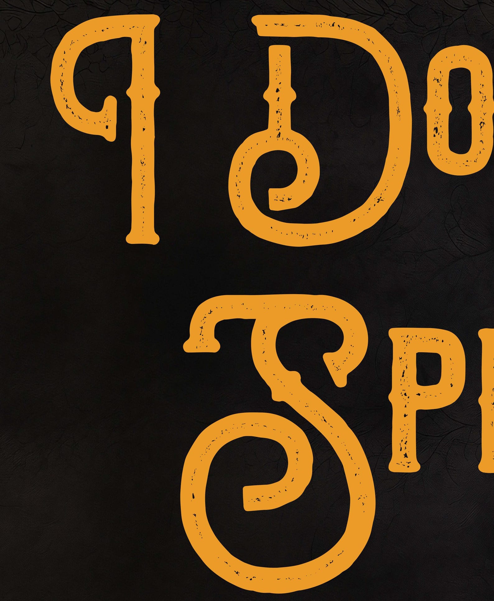 I Don't Speak Dipshit Beth Typography Poster, Western Room Poster ...