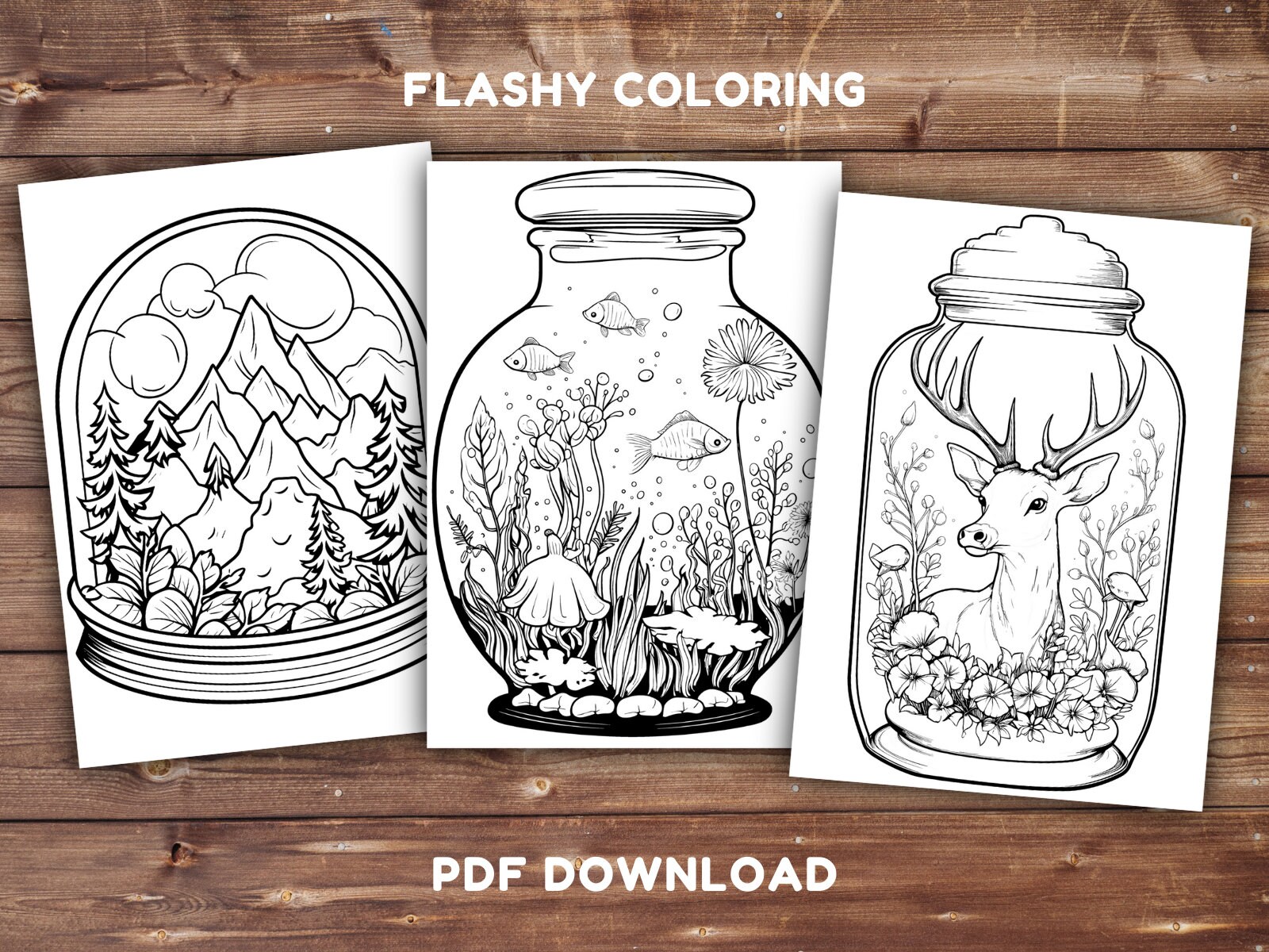 Terrarium Coloring Book INSTANT DOWNLOAD Printable Coloring Pages ...