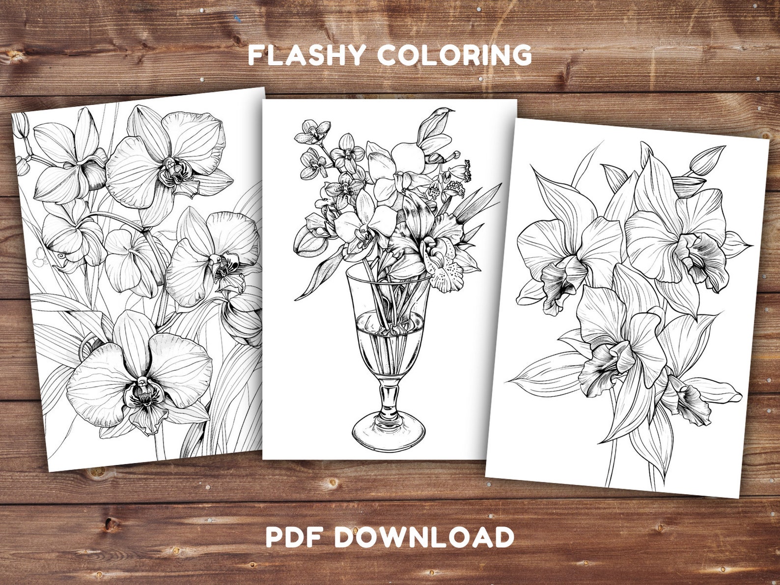 Orchid Flower Coloring Book | INSTANT DOWNLOAD | Printable Coloring ...