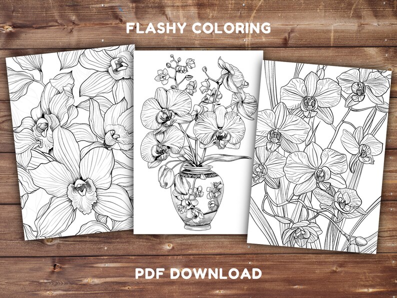 Orchid Flower Coloring Book | INSTANT DOWNLOAD | Printable Coloring ...