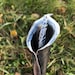 Forged Calla Lily, Metal Lily, 6th Anniversary Gift, Iron Anniversary ...