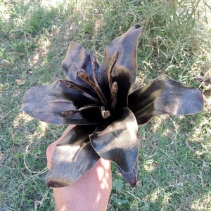 Forged Lily Flower, Metal Lily, 6th Anniversary Gift, Iron Anniversary ...