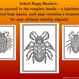 Bug Coloring Pages Bundle 50 Detailed Coloring Pages PDF Digital ...