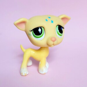 LPS Littlest Pet Shop Crocodile Greyhound Panda Hasbro Authentic - Etsy