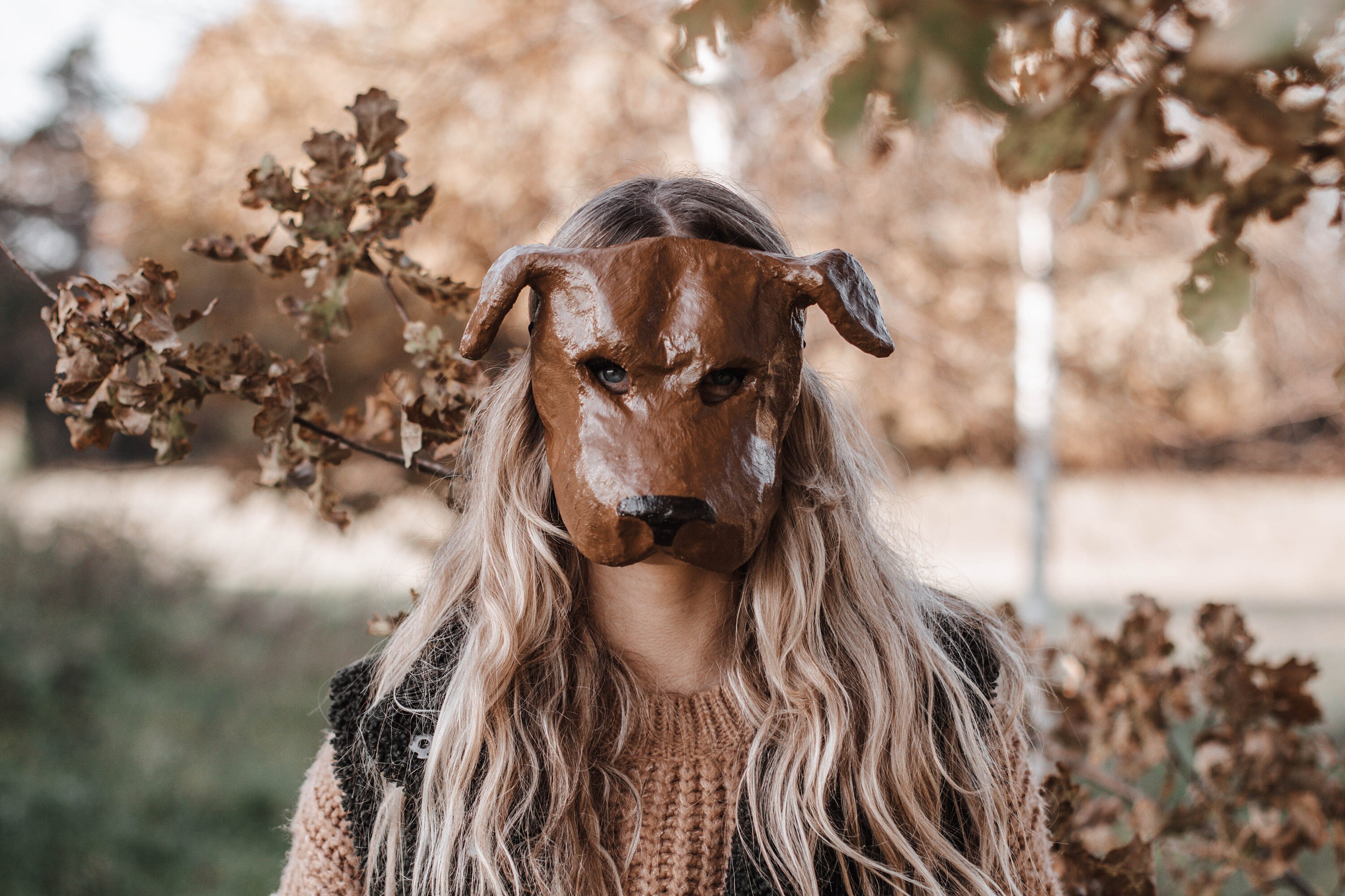 Dog Mask, Paper Mache Mask, Mask Art - Etsy