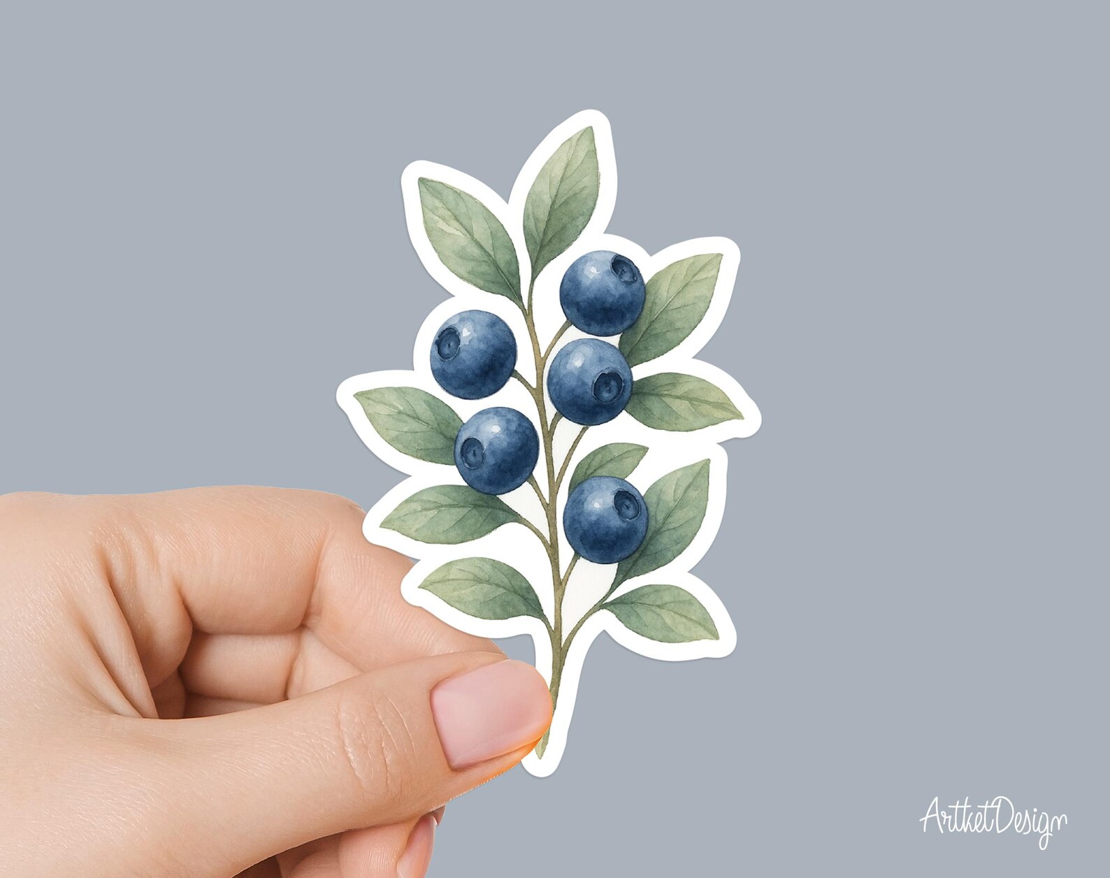 Watercolor Blueberry Branch Sticker – Botanical Fruit Vinyl Decal ...