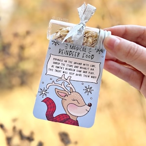 Magical Reindeer Food Gift Tag Printable, Christmas Eve Activity for ...