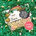 Leprechaun Bait Printable for Kids, St. Patricks Day Folding Tag for ...