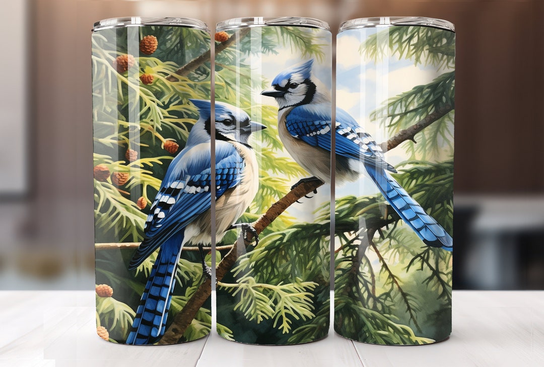 Blue Jay Bird Sublimation Digital Download Template 20oz Skinny Tumbler ...
