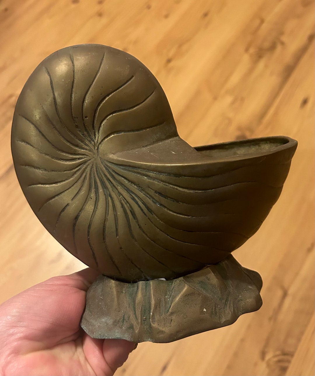 Brass Nautilus Shell Planter Vase - Etsy