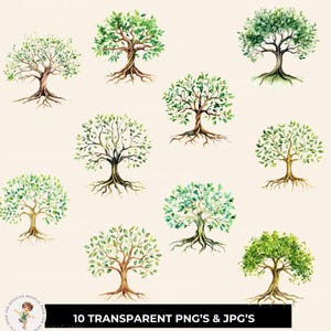 Watercolor Tree With Roots Clip Art Mystical Old Tree of Life Art ...