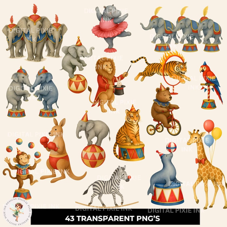 Circus Clipart Set Cute Illustrations of Circus Animals, Digital ...
