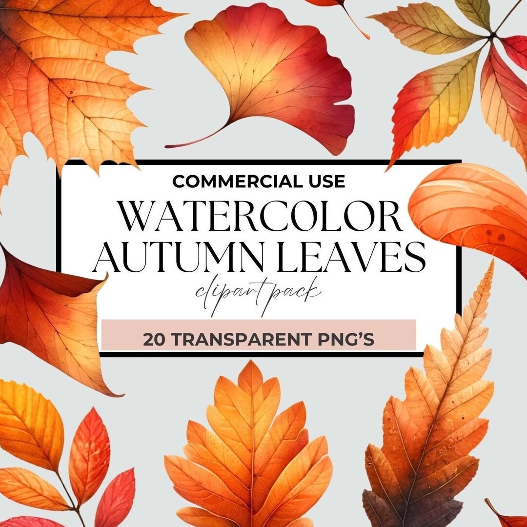 Watercolor Fall Leaves Clipart, Fall Clipart, Autumn Leavs Nursery ...
