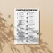 Cognitive Distortions Poster | Therapist Wall Art | CBT Wall Art ...