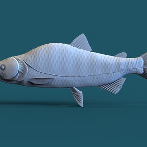 Pink Salmon. 3D STL Model for Milling and Printing - Etsy