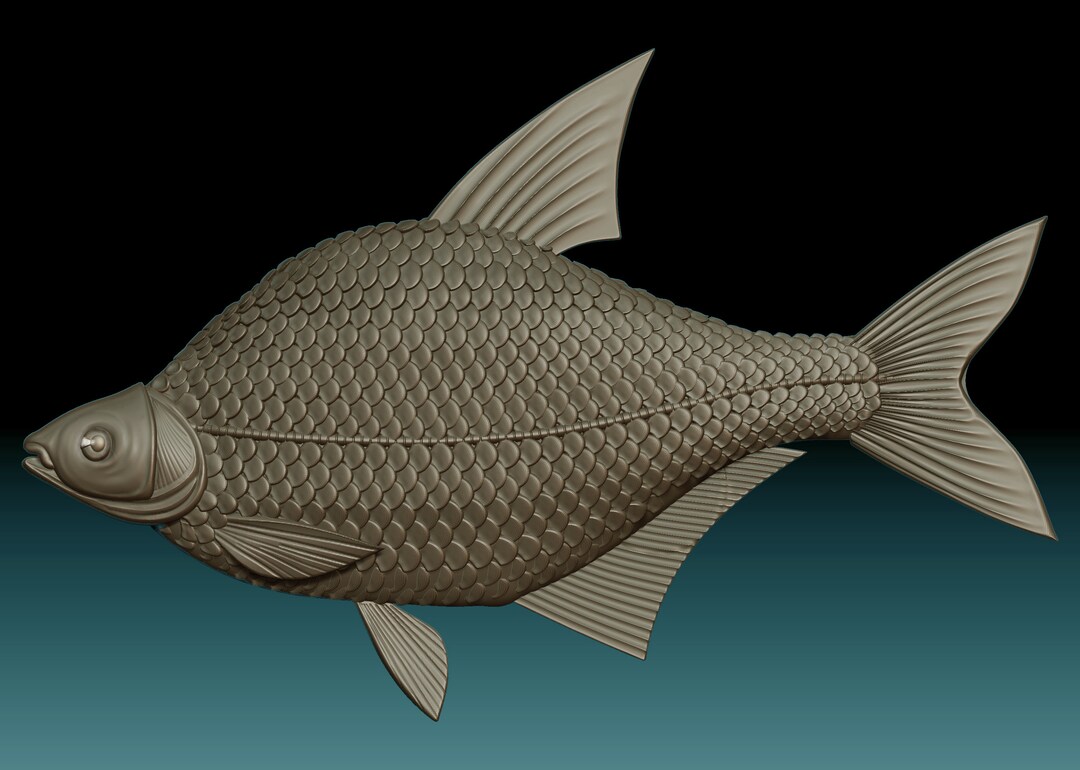 Bream. 3D STL Model for Milling and Printing - Etsy