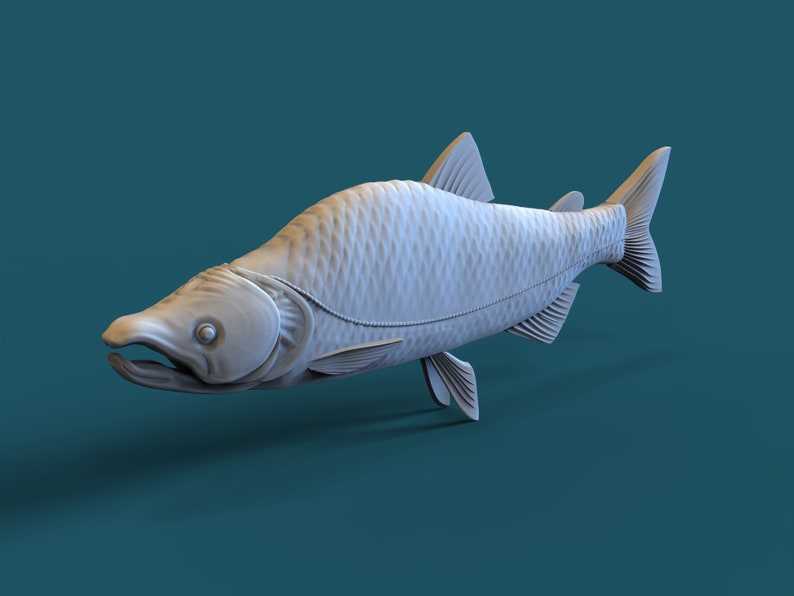Pink Salmon. 3D STL Model for Milling and Printing - Etsy