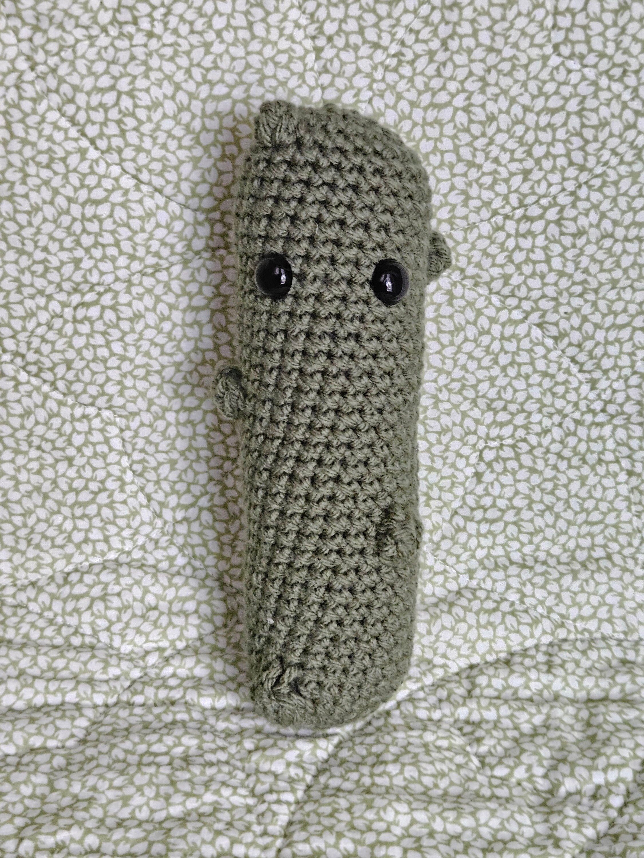No Sew Crochet Pickle Pattern PDF Download (pickle) Beginner Friendly ...