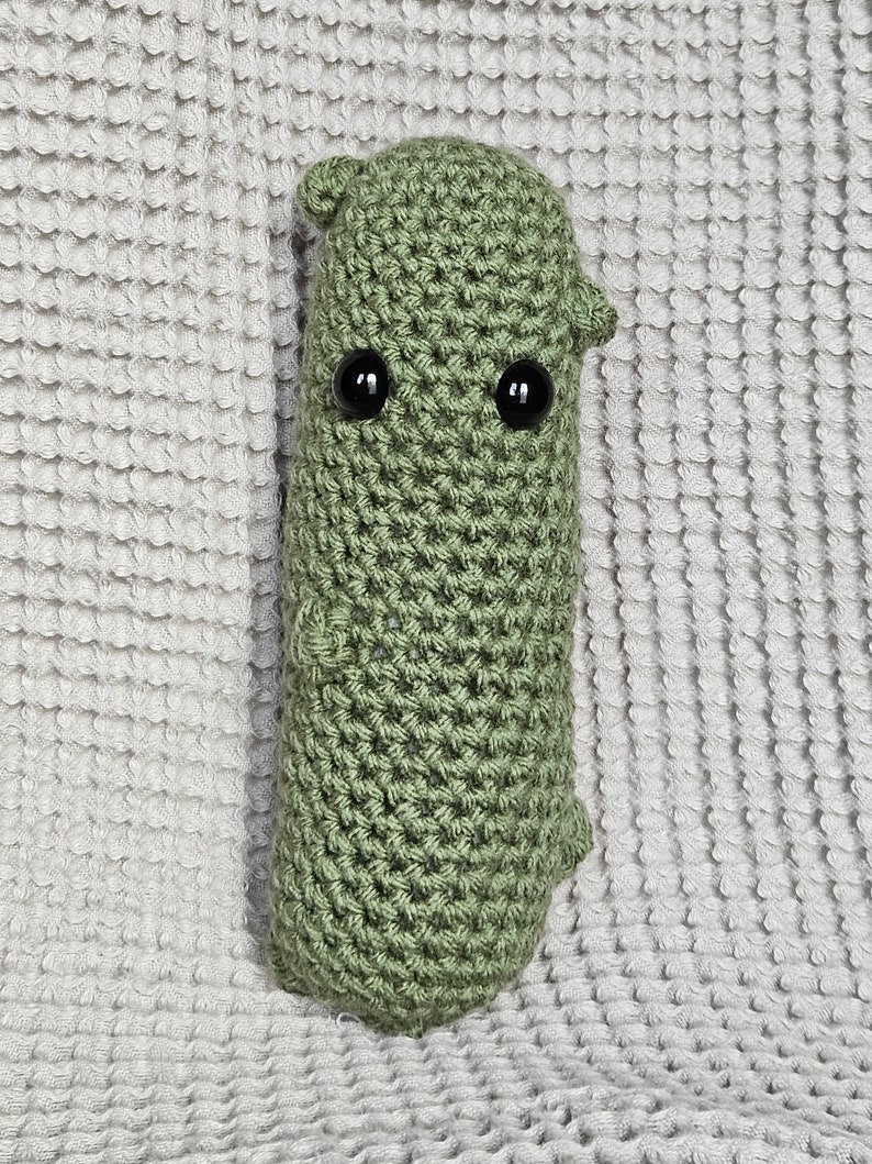 No Sew Crochet Pickle Pattern PDF Download (pickle) Beginner Friendly ...
