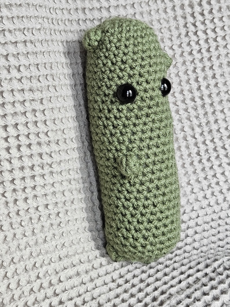 No Sew Crochet Pickle Pattern PDF Download (pickle) Beginner Friendly ...