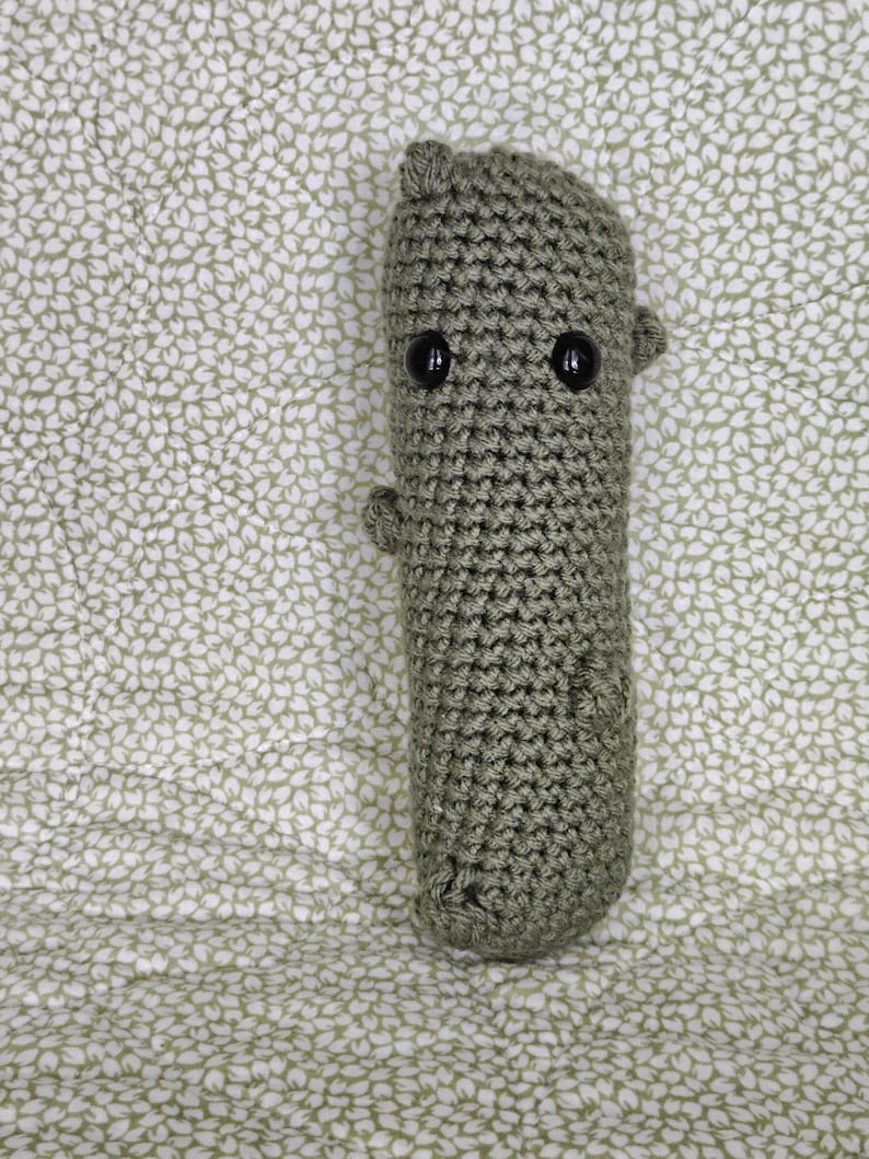 No Sew Crochet Pickle Pattern PDF Download (pickle) Beginner Friendly ...