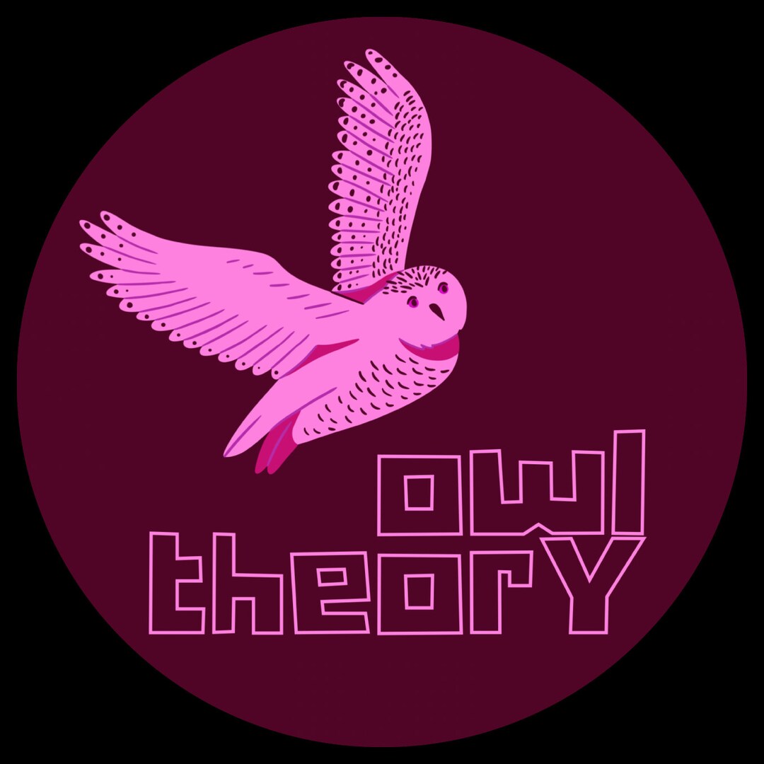 Owl Theory Sticker - Etsy