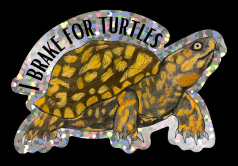 I Brake for Turtles Sticker - Etsy